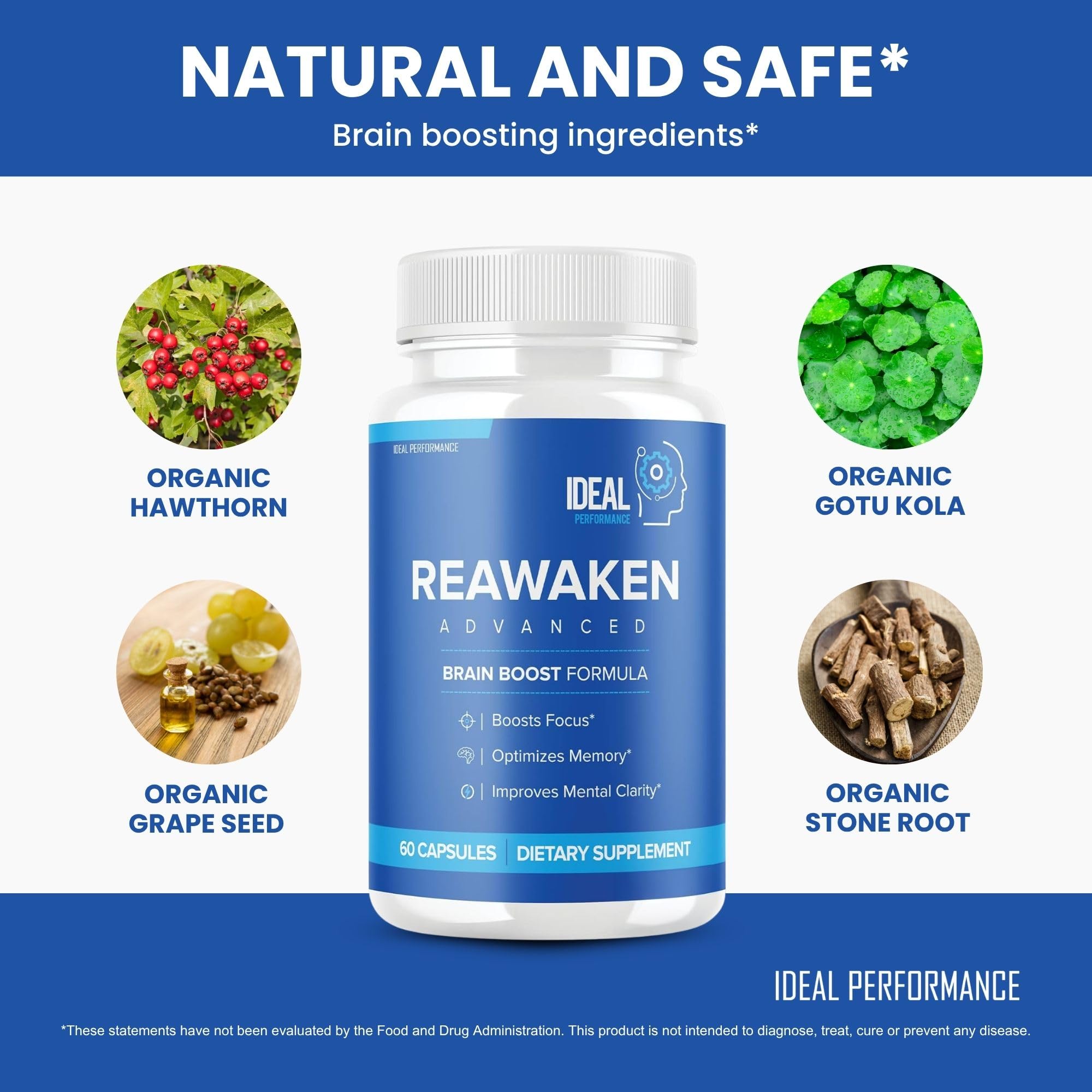 vitamin and mineral blend for memory