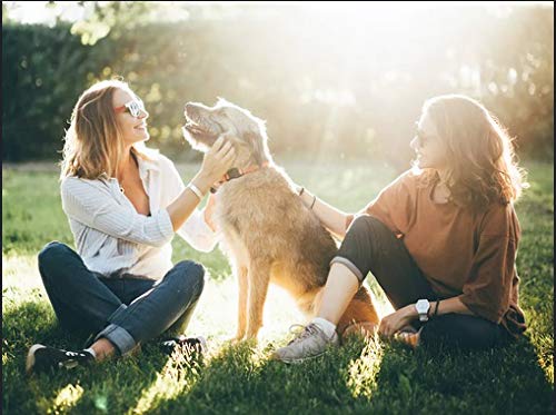 vitamin and mineral blend for vitality