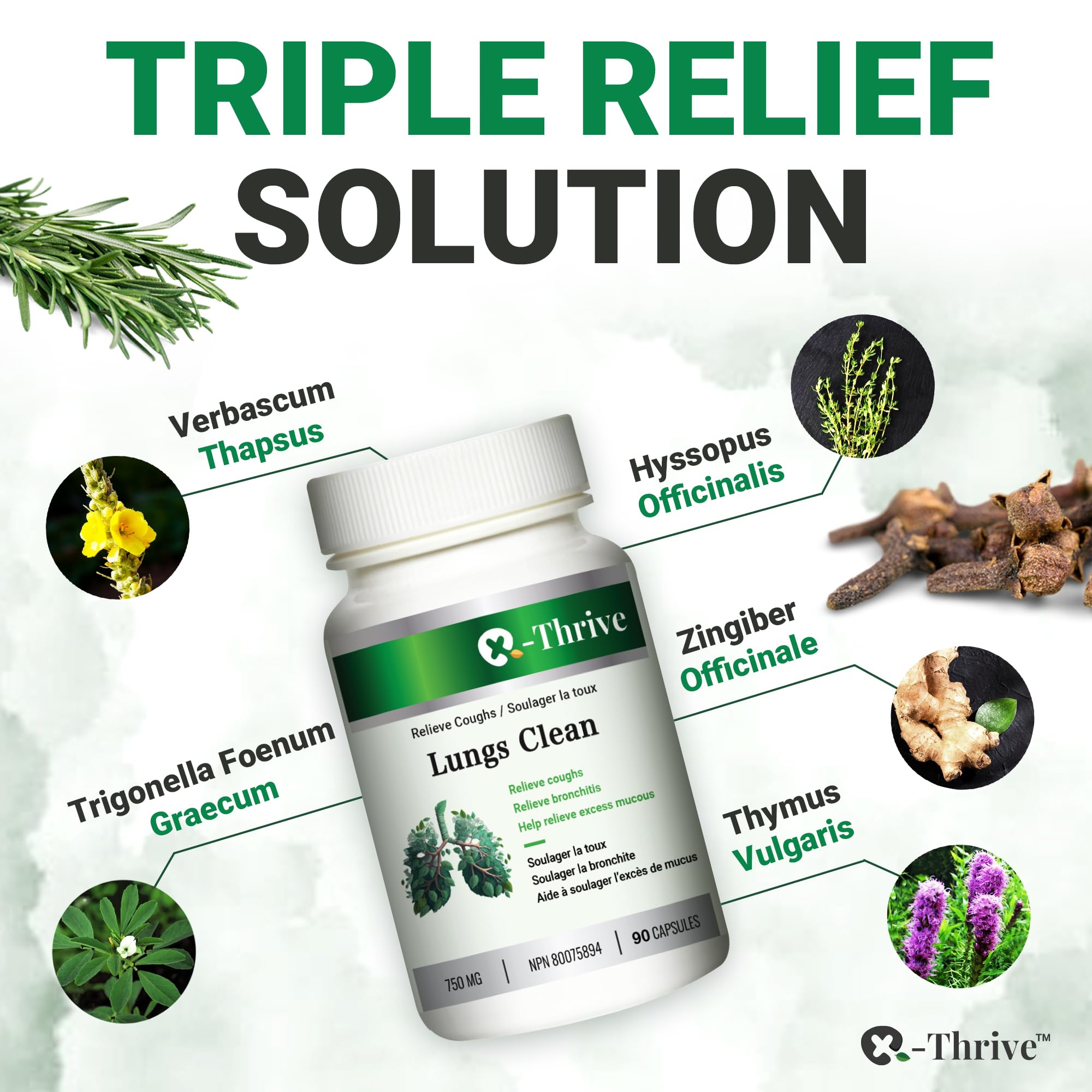 vitamin and mineral blend for vitality