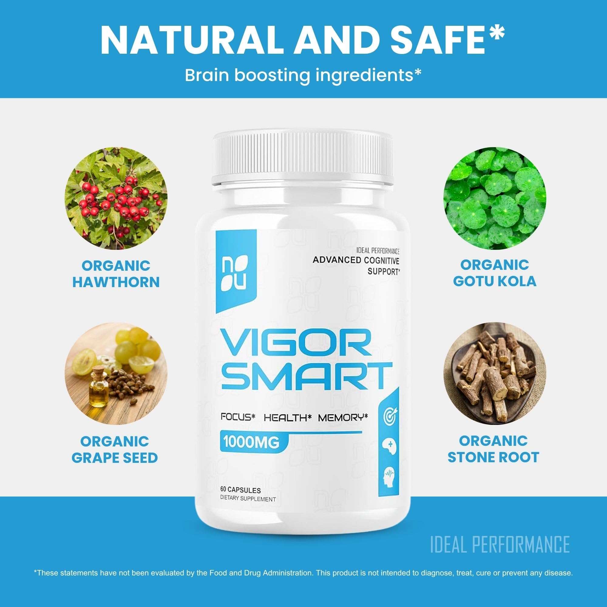 vitamin and mineral cognitive blend