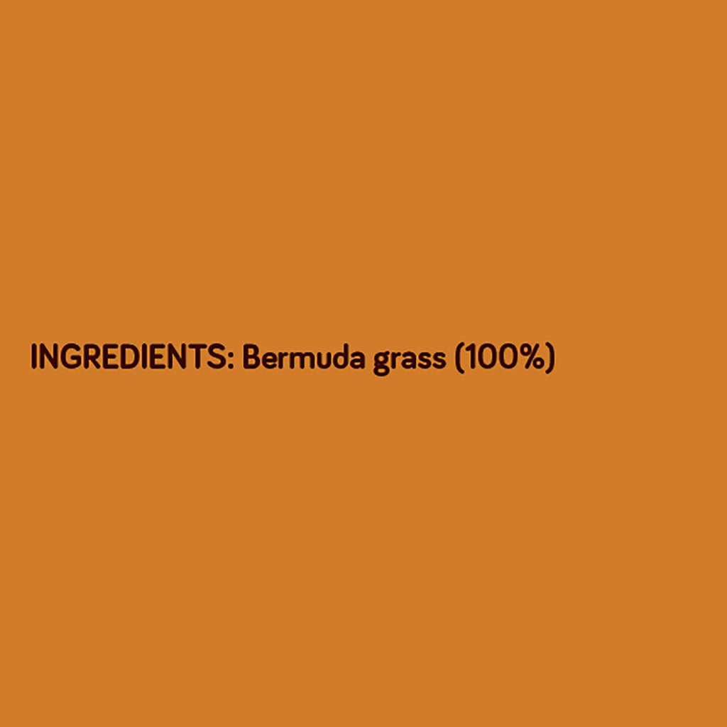 vitamin and mineral supplement for energy
