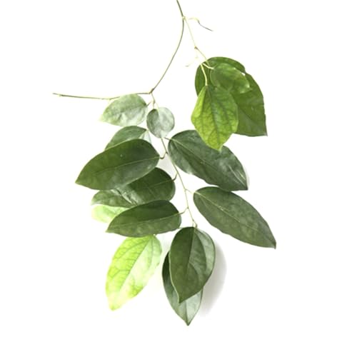 vitamin and mineral supplement pack