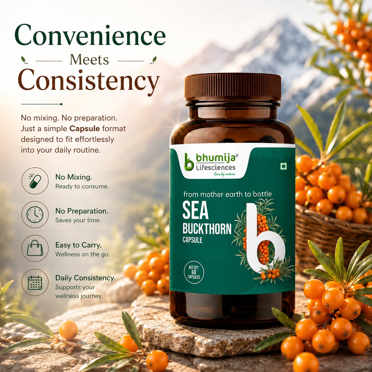 vitamin and mineral support capsules