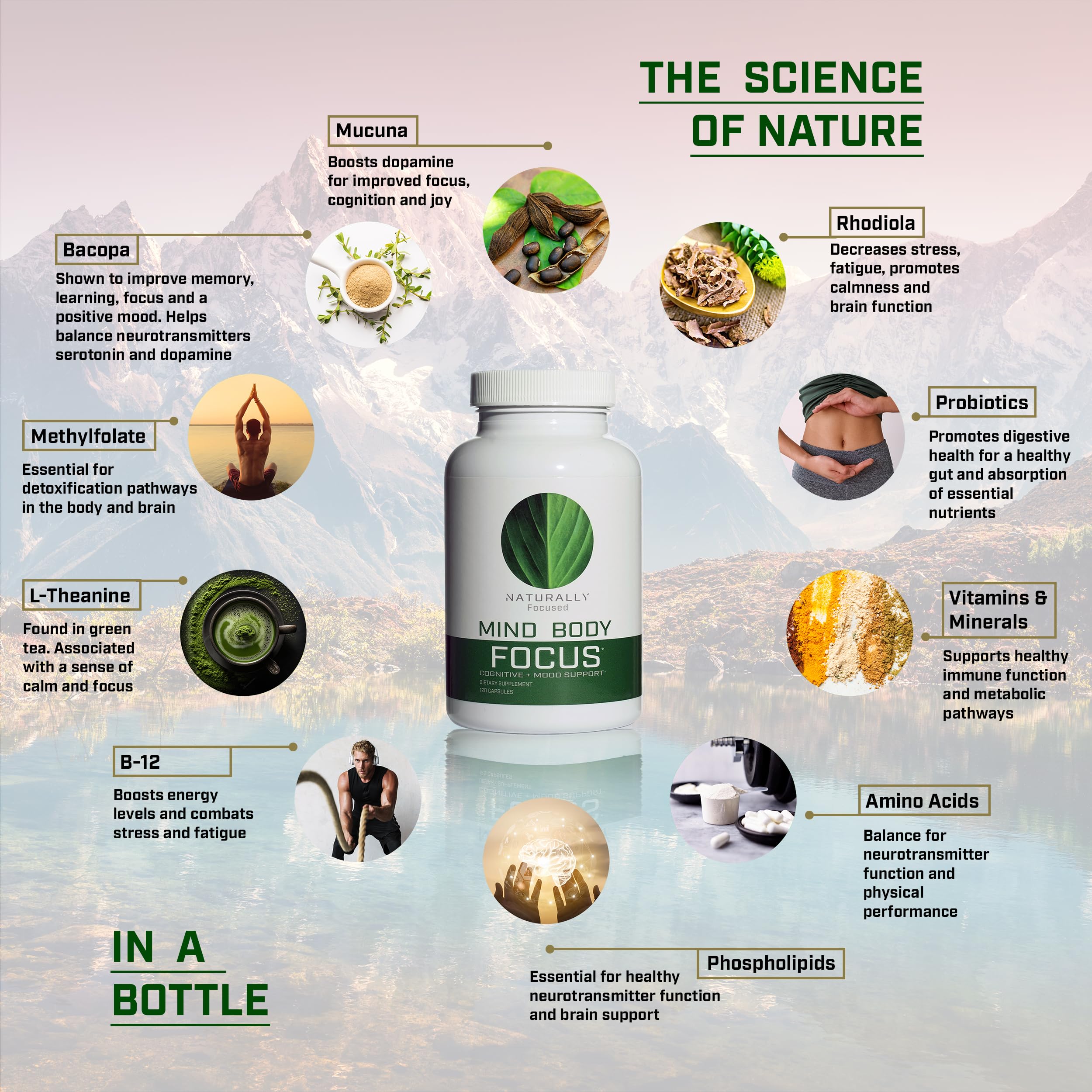 vitamin and mineral support for mental clarity