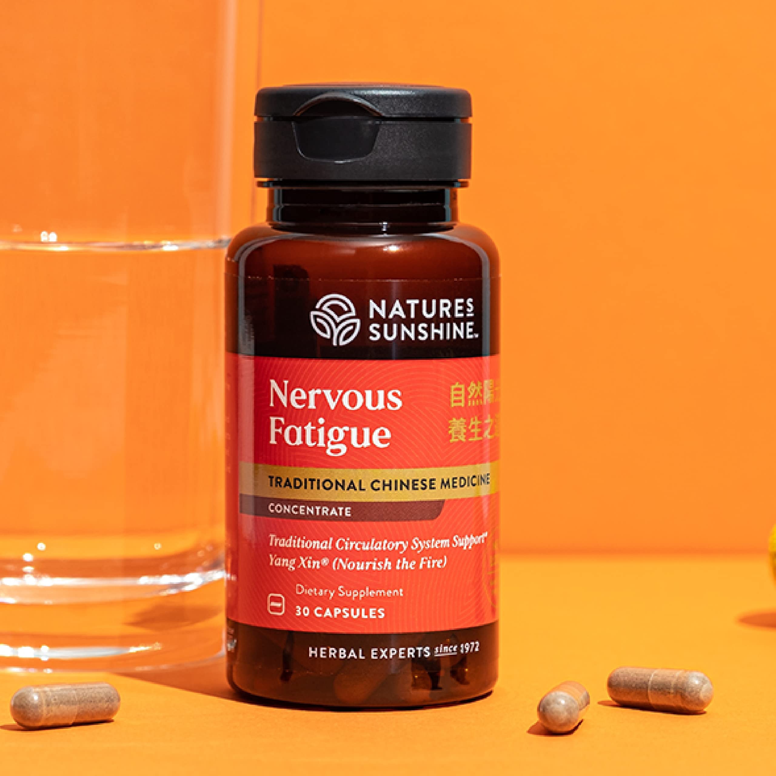 Vitamin and mineral support for stress relief