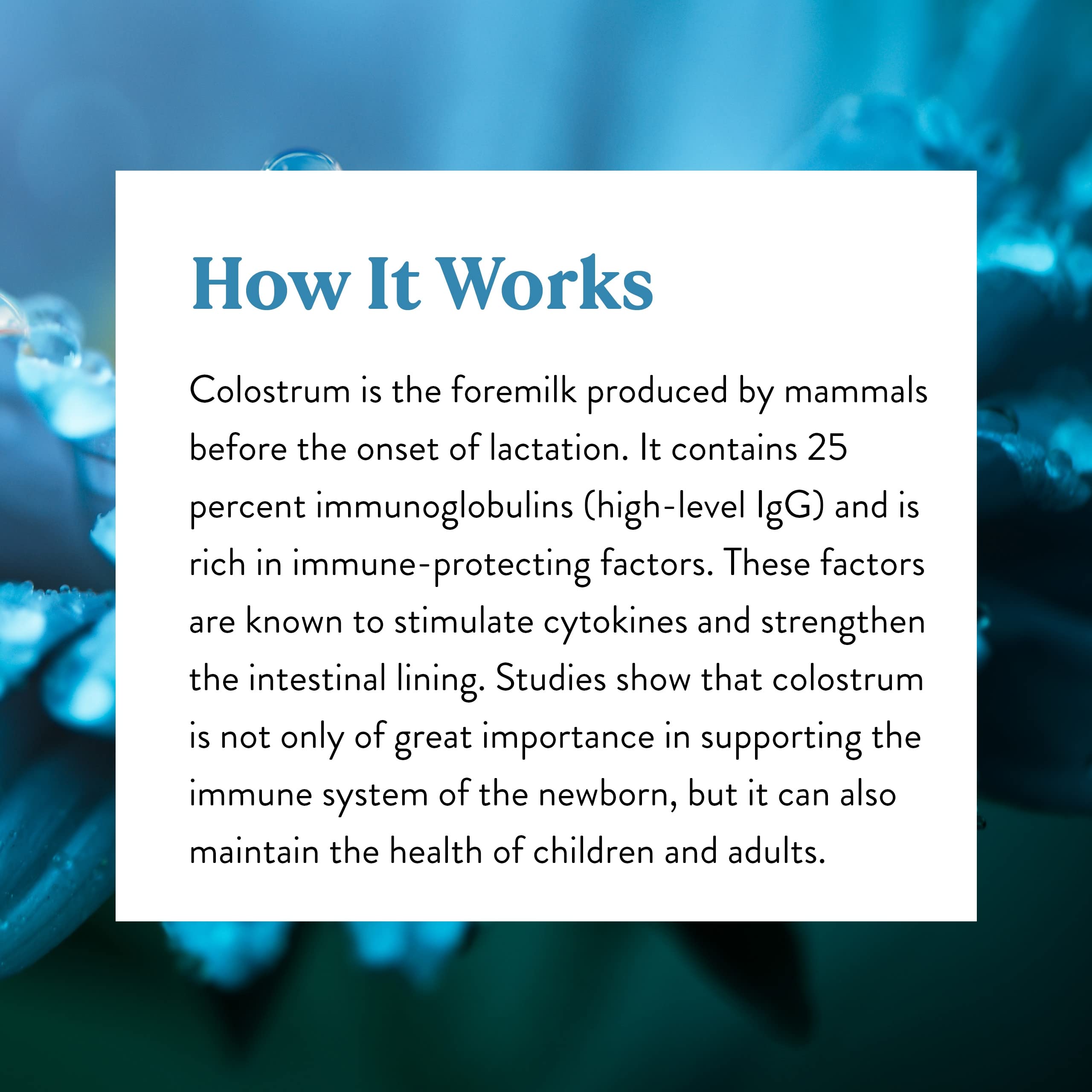 vitamin and mineral support in colostrum