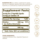 vitamin b complex choline benefits