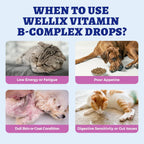 Vitamin B Complex drops for immune support