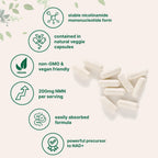 Vitamin B complex energy support