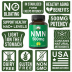 Vitamin B complex for cellular health