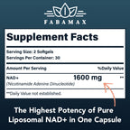 vitamin b complex for cellular health