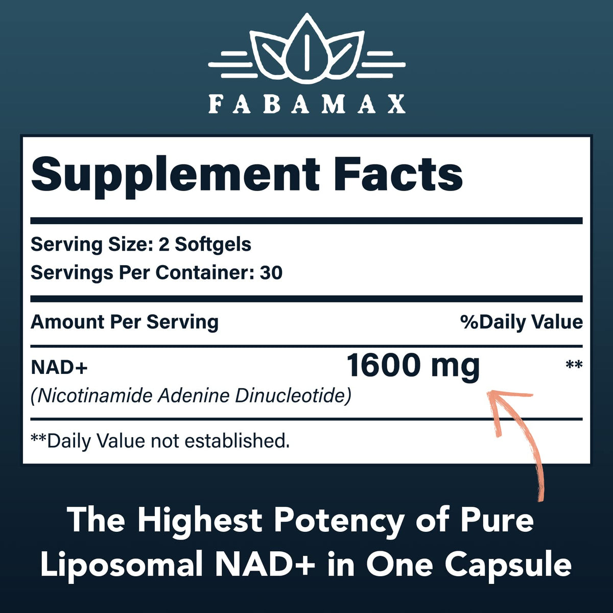 vitamin b complex for cellular health