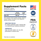 Vitamin B complex for cognitive support