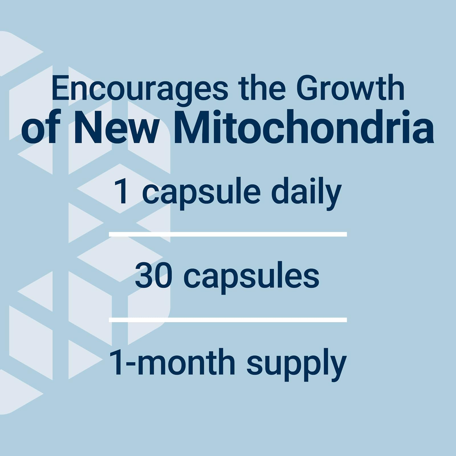 Vitamin b complex for cognitive support