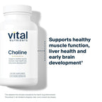 Vitamin B complex for energy support