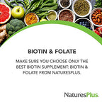 vitamin B complex for energy support