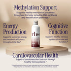 Vitamin B complex for energy support