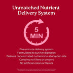 vitamin b complex for energy support