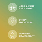 Vitamin B complex for energy support