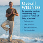 Vitamin B complex for energy support
