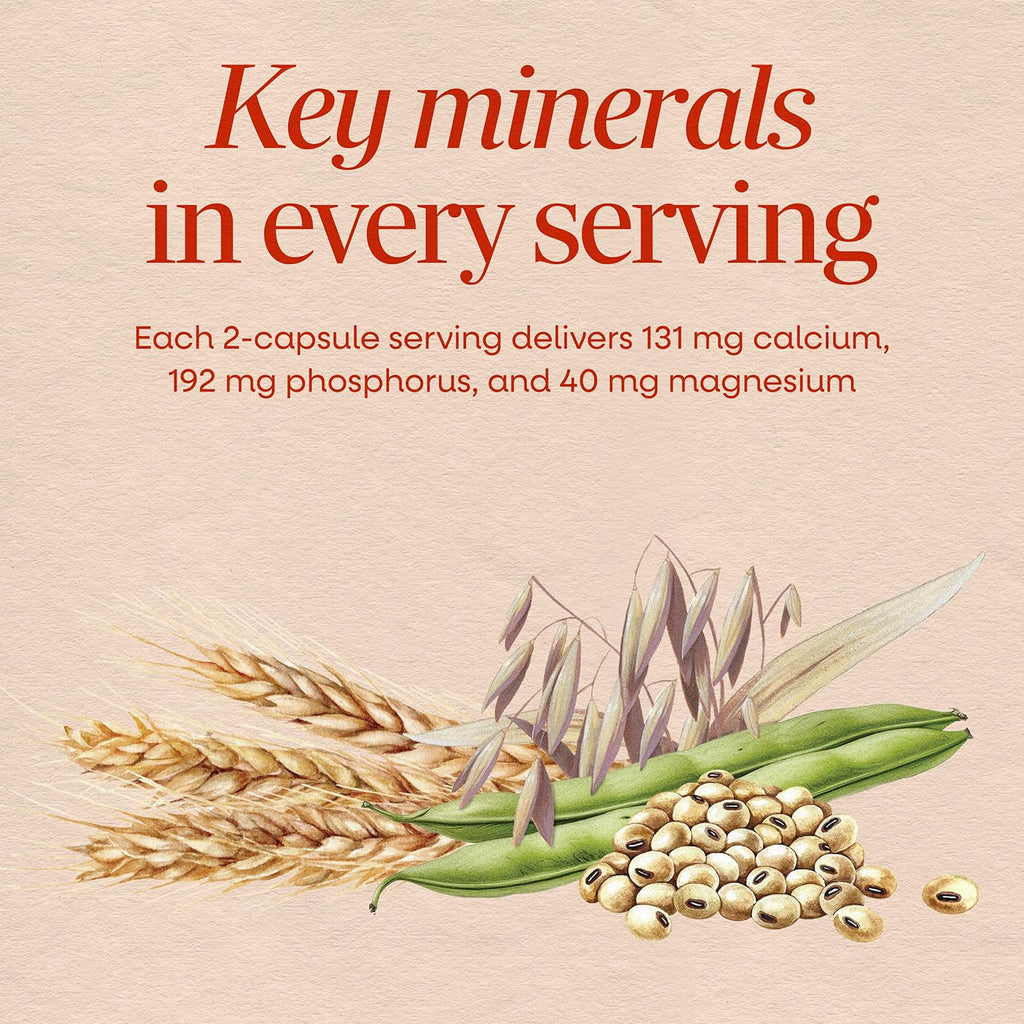 Vitamin B complex for energy support