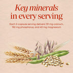 Vitamin B complex for energy support
