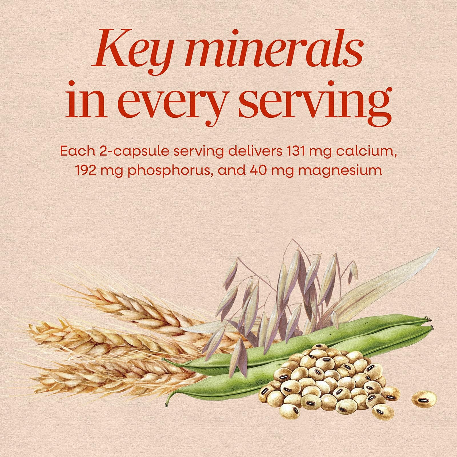 Vitamin B complex for energy support