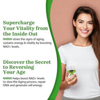 Vitamin B complex for enhanced metabolism