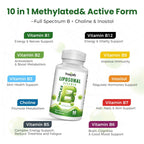 vitamin b complex for healthy metabolism