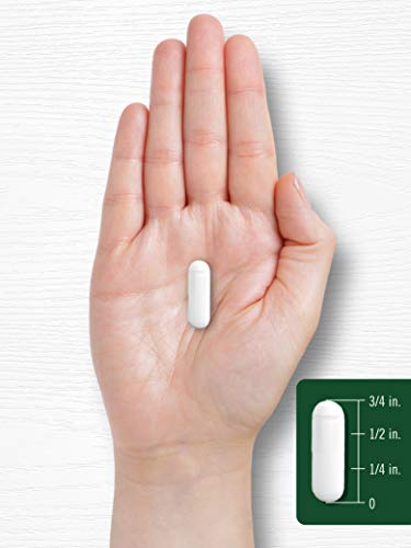 Vitamin b complex for healthy metabolism