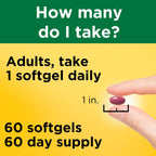 Vitamin B Complex for healthy metabolism