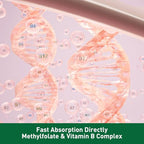 vitamin b complex for healthy nervous system
