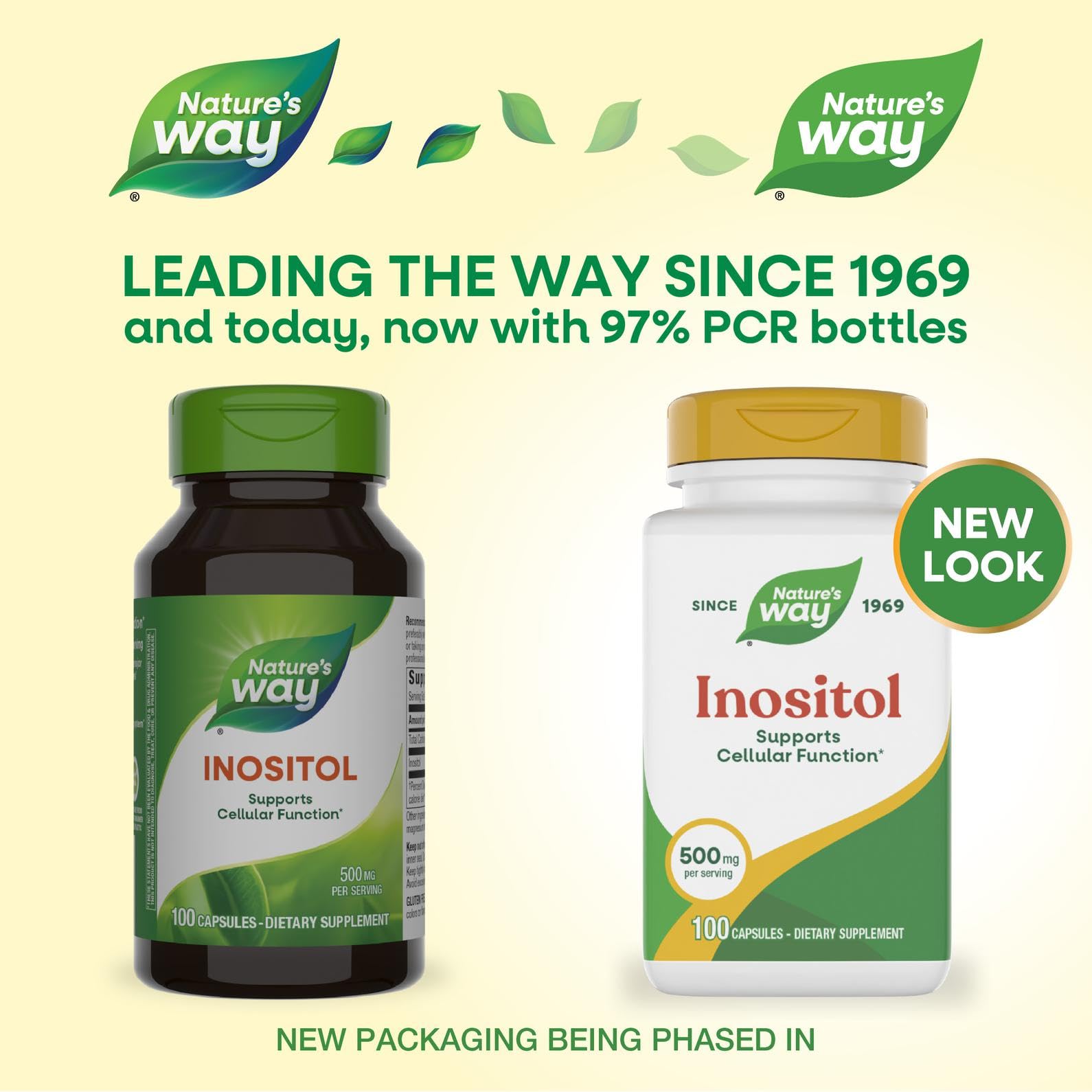 Vitamin B complex for mental health