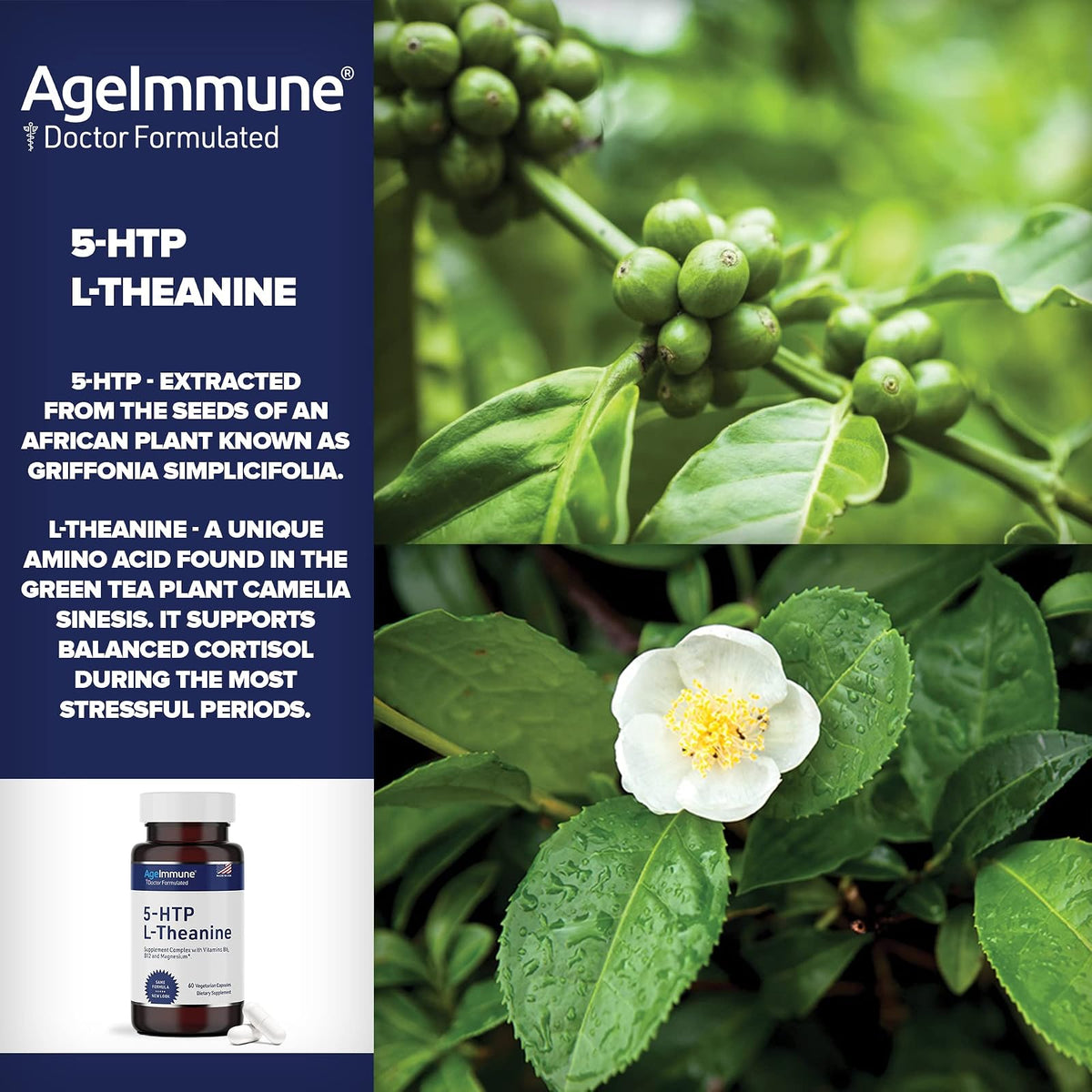Vitamin B complex for mental wellness
