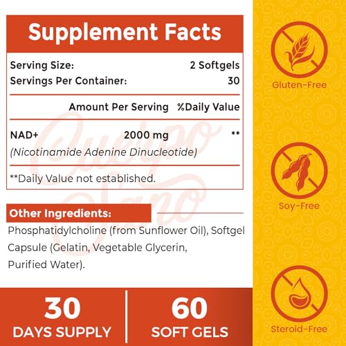 vitamin b complex for metabolism