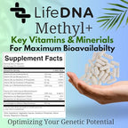 Vitamin B complex for mood balance