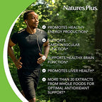 vitamin b complex for overall wellness