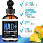 vitamin B complex for wellness