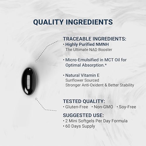 Vitamin B complex support for metabolism