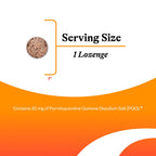 Vitamin B complex support lozenge