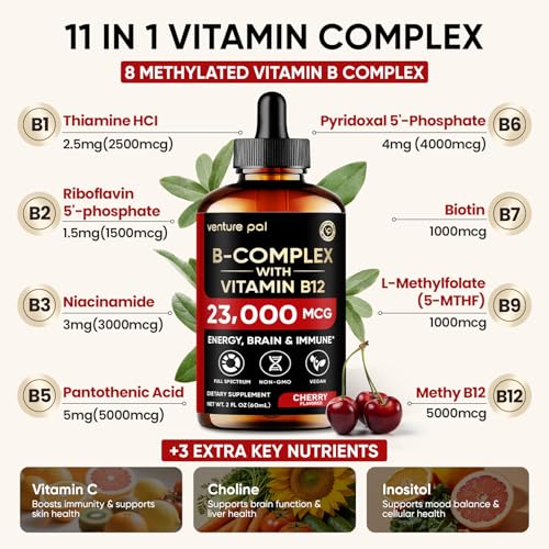 vitamin b complex supports metabolism