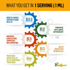 Vitamin B complex supports metabolism