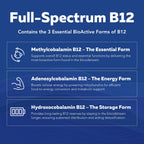 Vitamin B Complex to boost immunity
