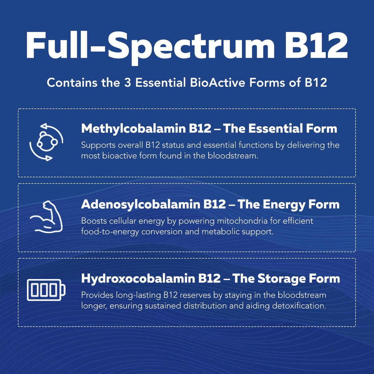 Vitamin B Complex to boost immunity