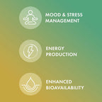 Vitamin B complex with benfotiamine benefits