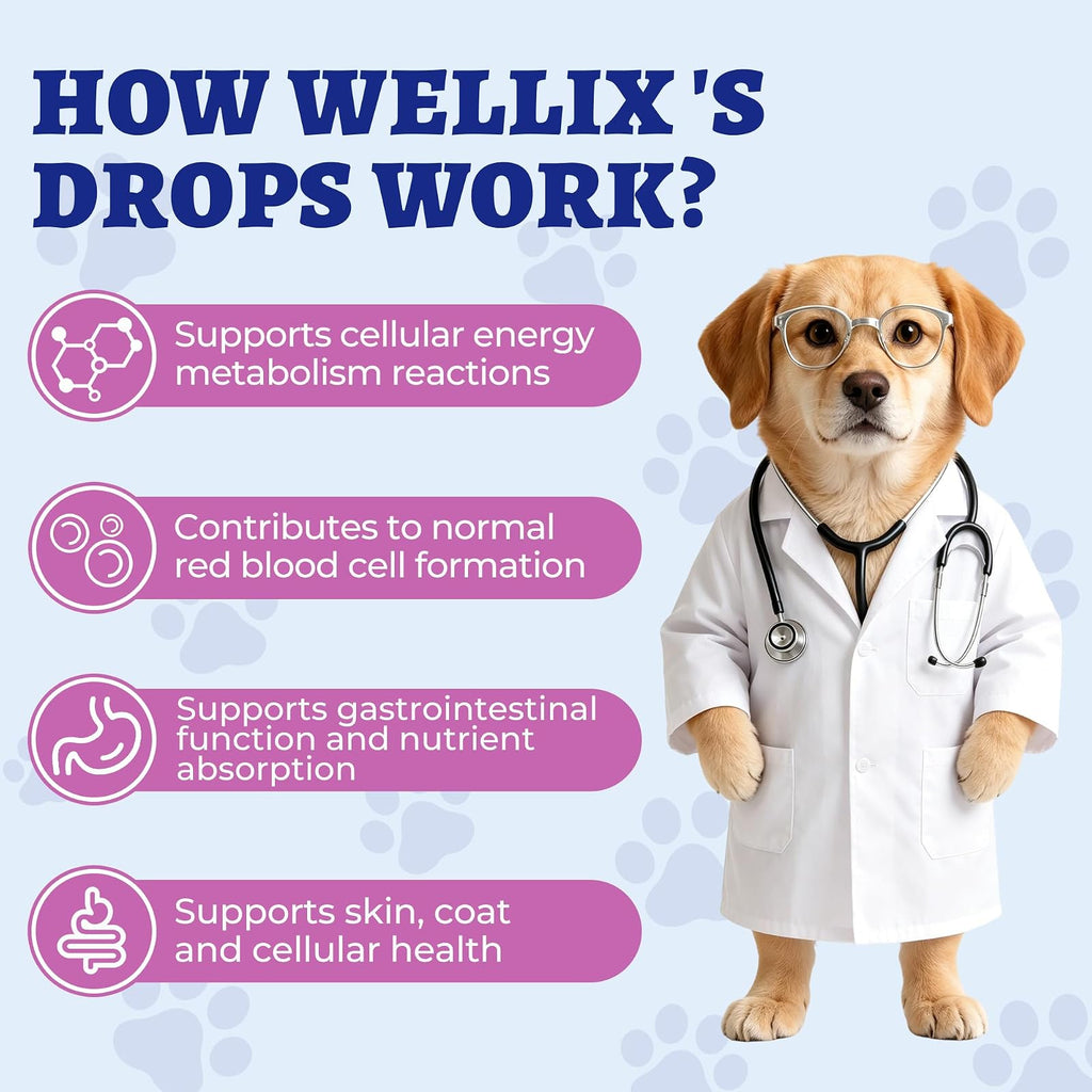 Vitamin B drops for daily wellness