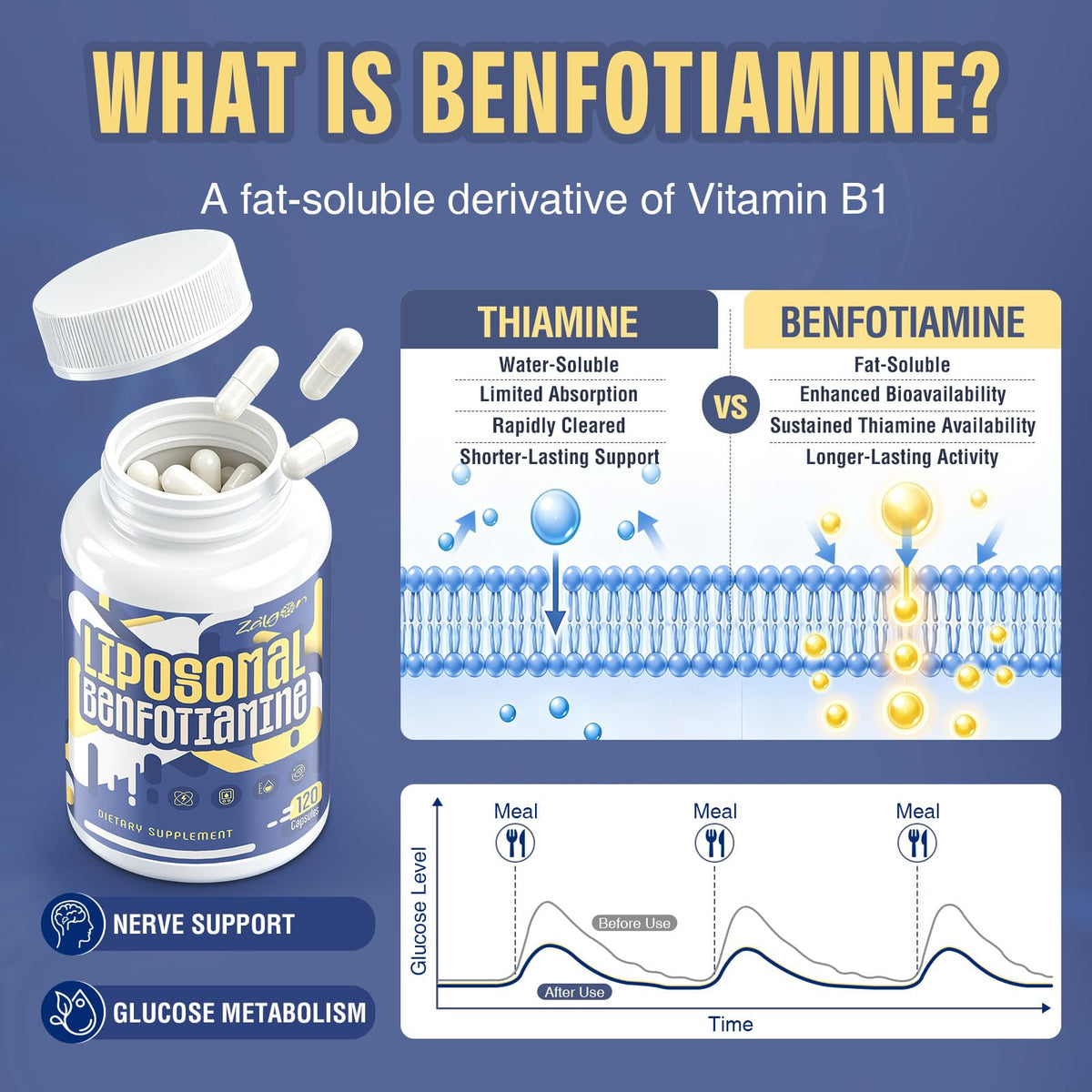Vitamin B1 for healthy metabolism