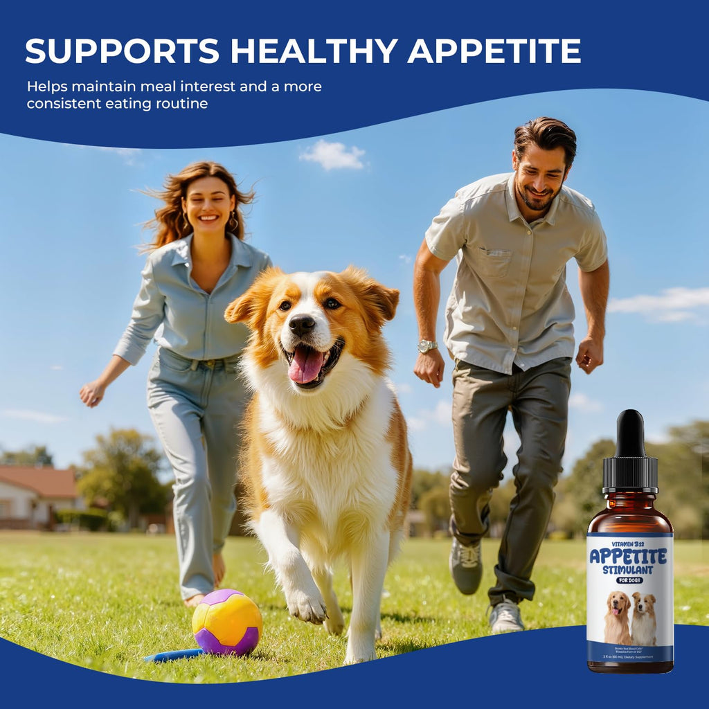 Vitamin B12 drops for immune support