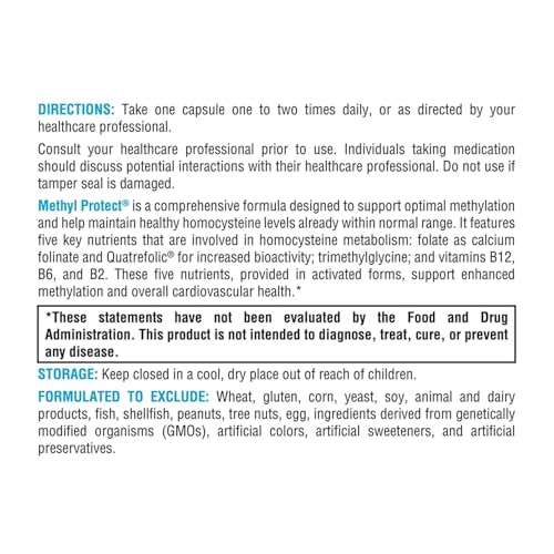 vitamin b12 for cognitive health