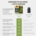 vitamin b12 for cognitive health